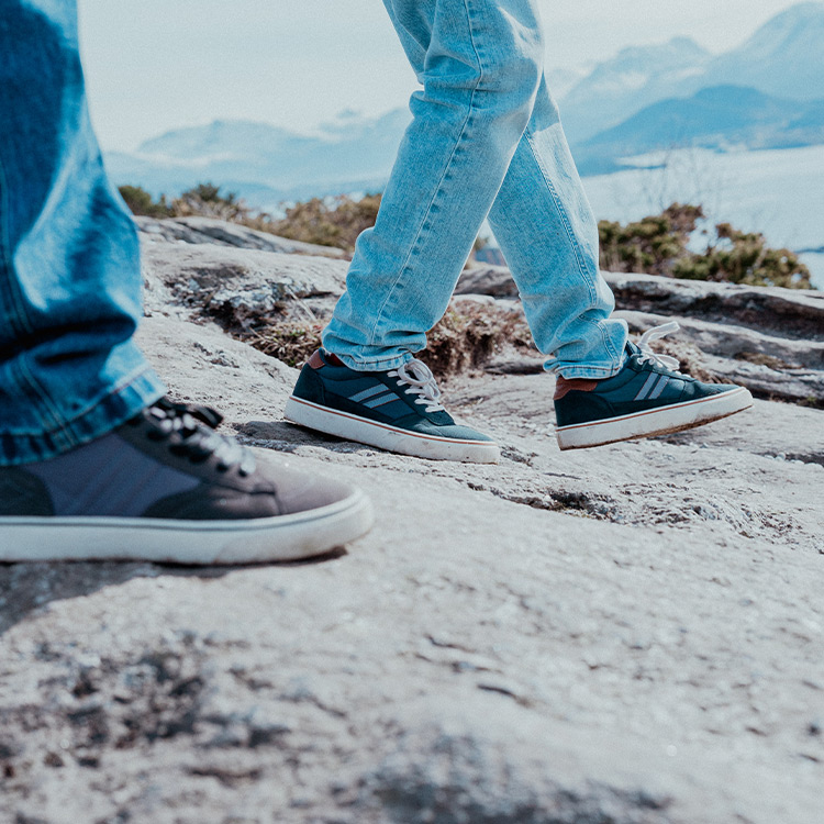 Bear Surfboards | Cisalfa Sport